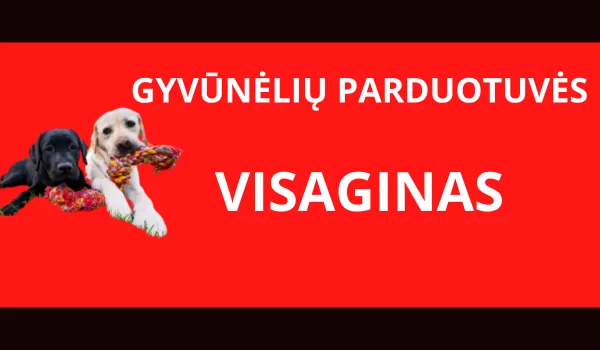 Gyvūnėlių Parduotuvės《 Visaginas 》 2026 ️