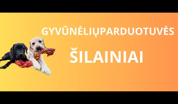 Gyvūnėlių Parduotuvės《 Šilainiai 》 (Kaunas) 2026 ️