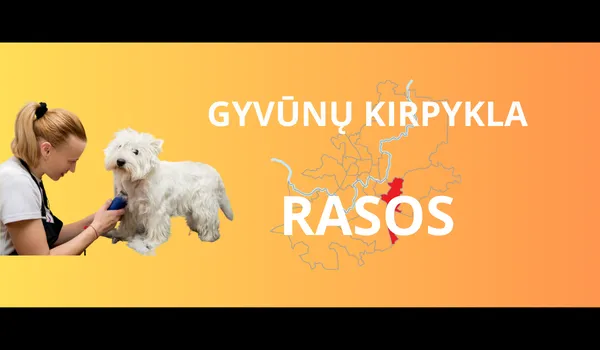 Gyvūnų Kirpykla《 Rasos 》 (Vilnius) 2025 ️