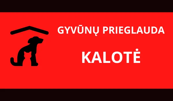 Gyvūnų Prieglauda《Kalotė》 2025 ️