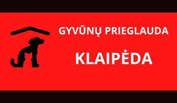 Gyvūnų Prieglauda《Klaipėda》 2025 ️
