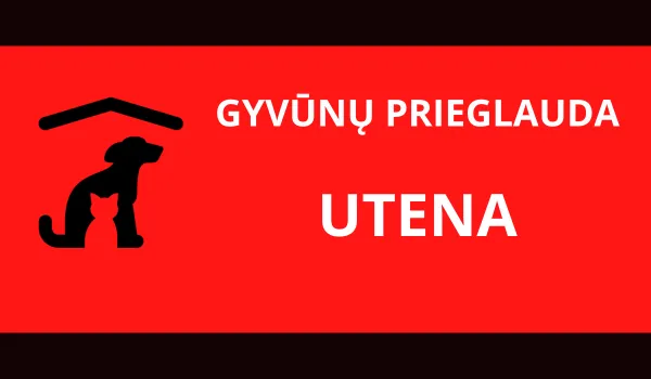 Gyvūnų Prieglauda《Utena》 2026 ️