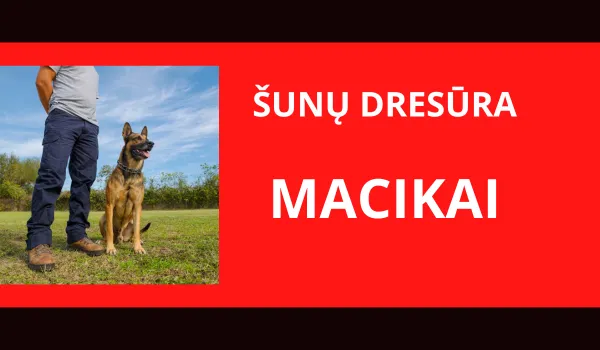 Šunų Dresūra《Macikai》 2026 ️
